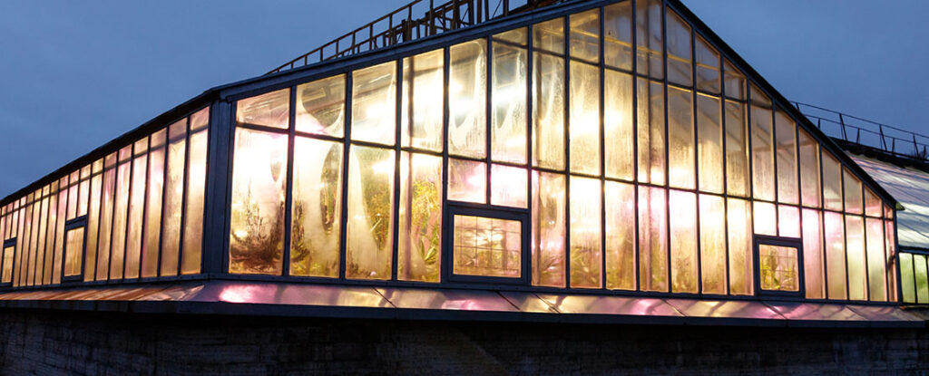 Vertical Farming Systems- Increase Your Cannabis Yields & Double Profits