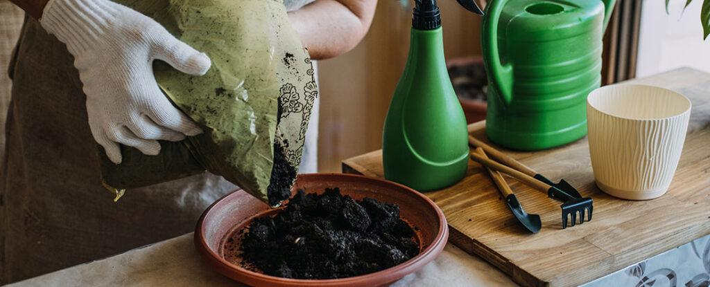 How To Sterilize Soil With Hydrogen Peroxide In 5 Quick Steps