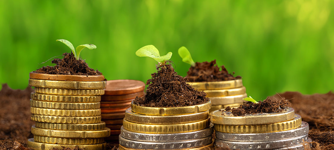 Blog - MMI Agriculture Solutions