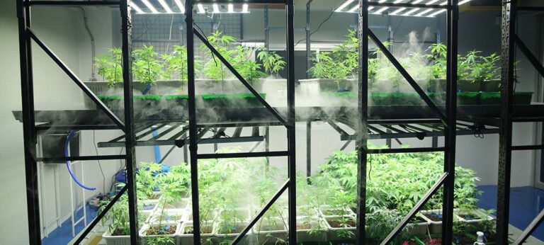 Vertical Grow Racks - MMI Agriculture Solutions
