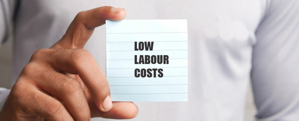 Vertical Growing Systems; 4 Ways They'll Boost Your Indoor Grow