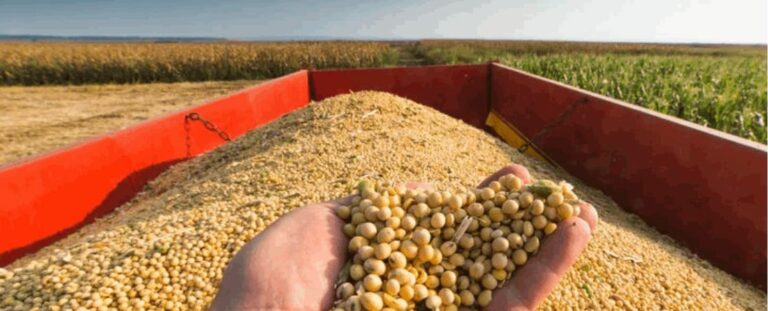 Cannabis Grow Racks: 5 Keys to Boosting Your Profit Margins