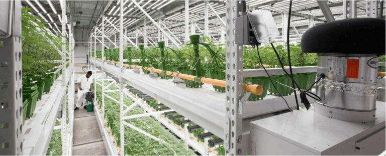 Vertical Grow Shelf System: Top Features For an Effective System